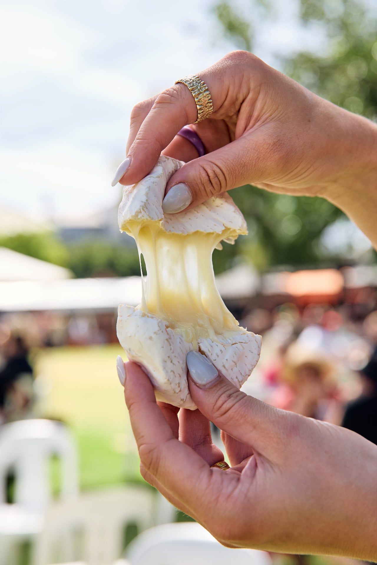 CheeseFest 2024 – cheesefest
