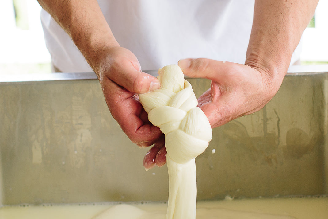 CheeseFest - Cheese, Food & Wine Festival - Tickets on Sale Now ...