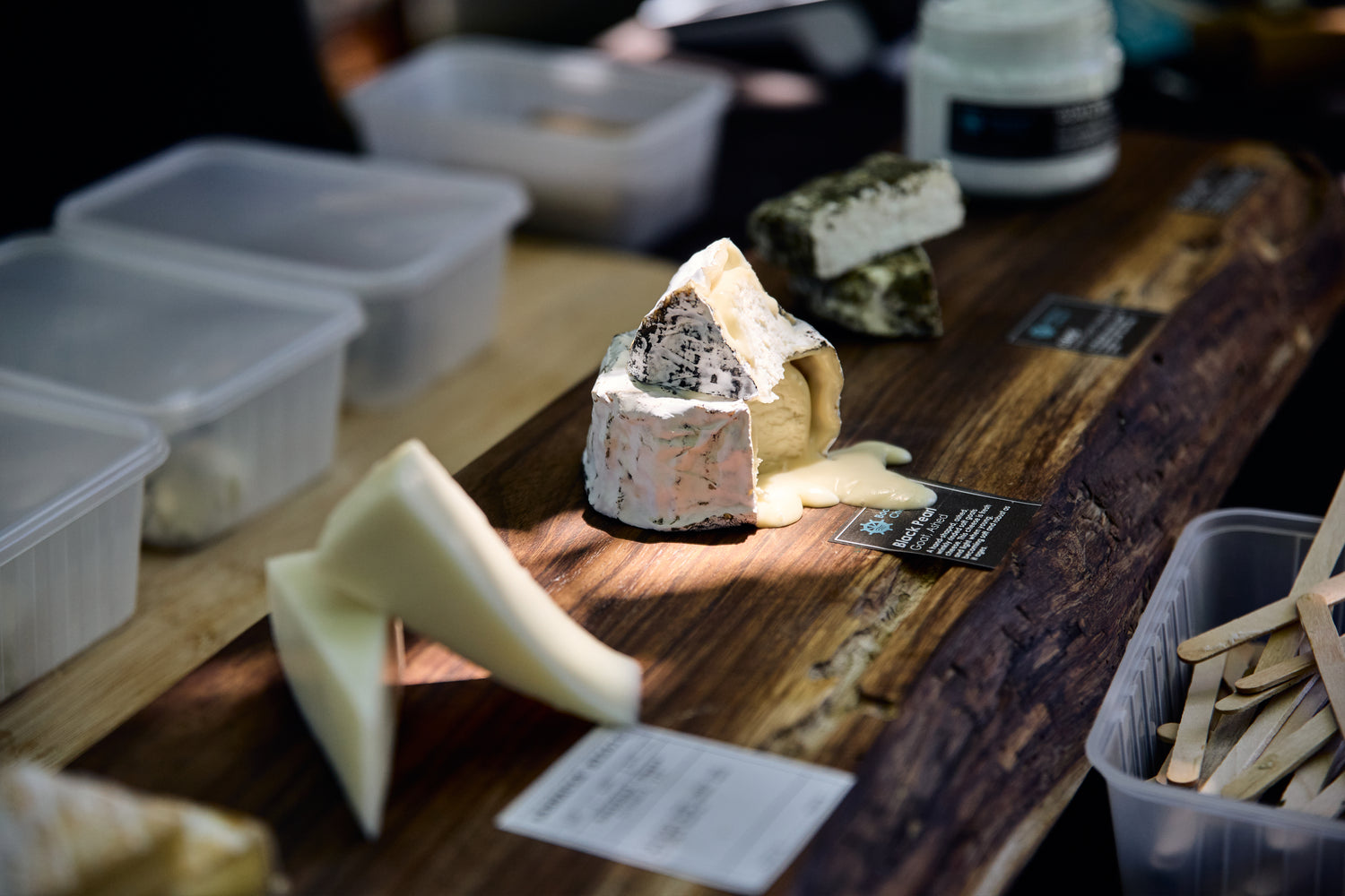 CheeseFest - Cheese, Food & Wine Festival - Tickets on Sale Now ...