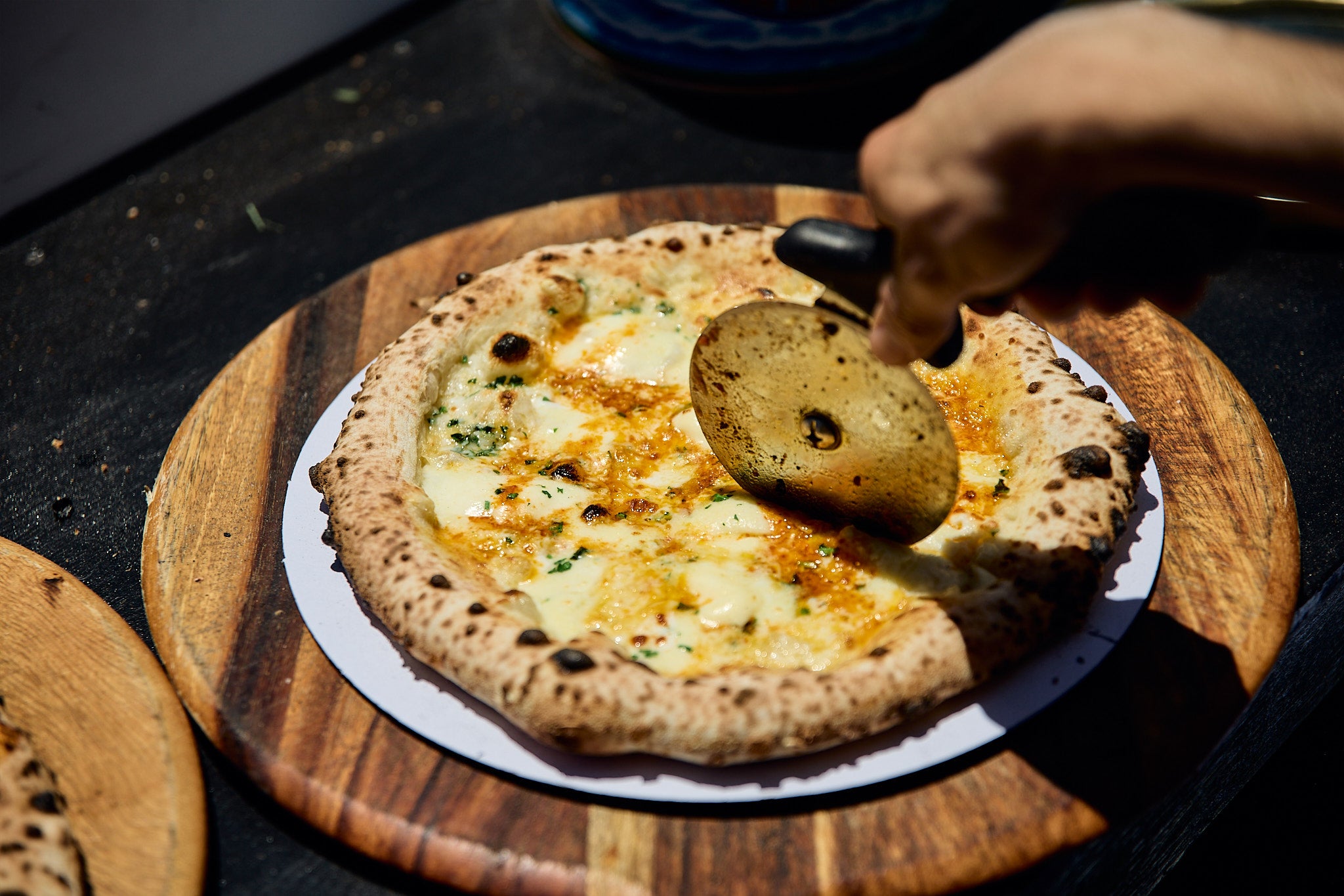 CheeseFest - Cheese, Food & Wine Festival - Tickets on Sale Now ...