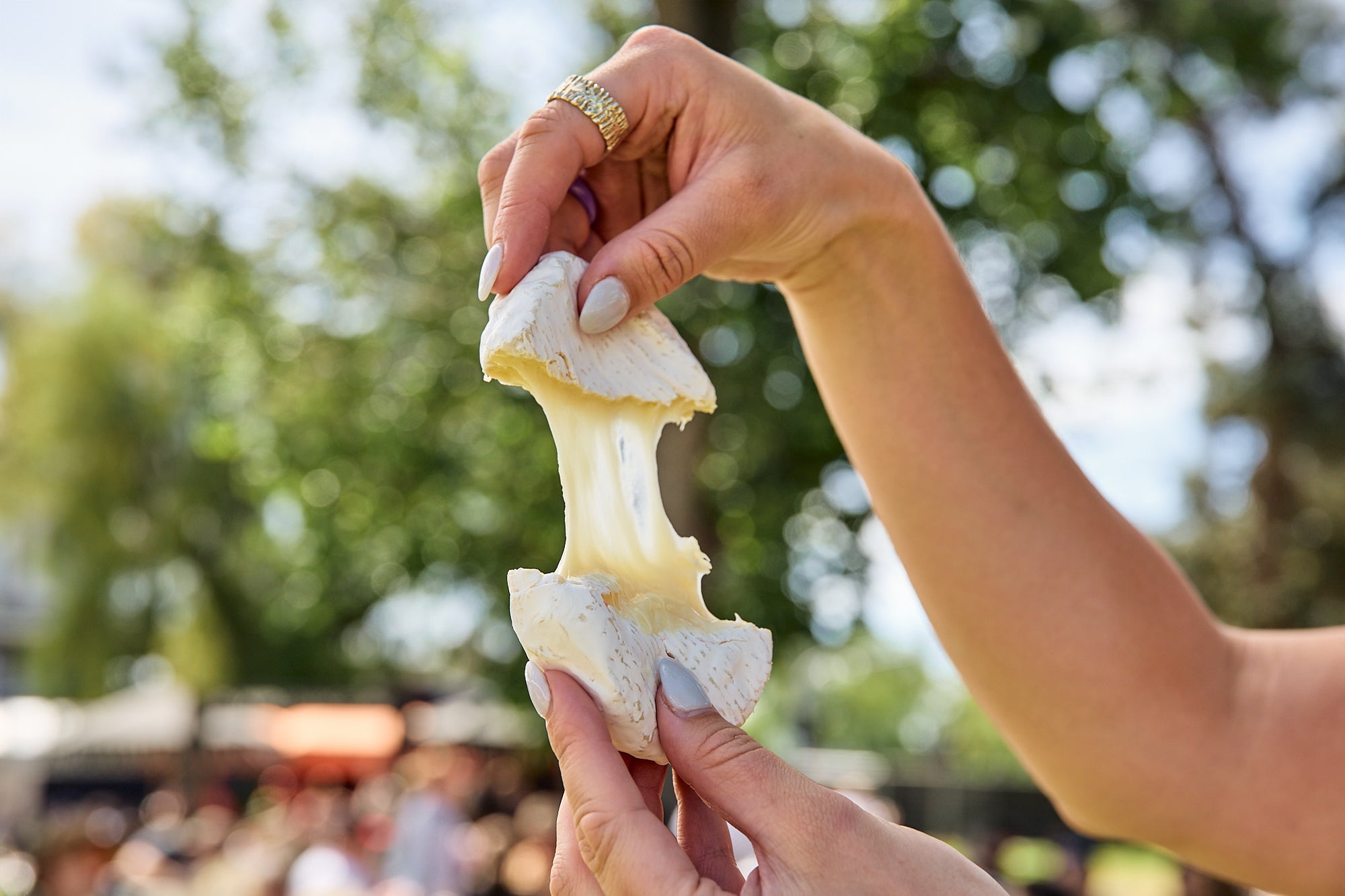 CheeseFest - Cheese, Food & Wine Festival – cheesefest