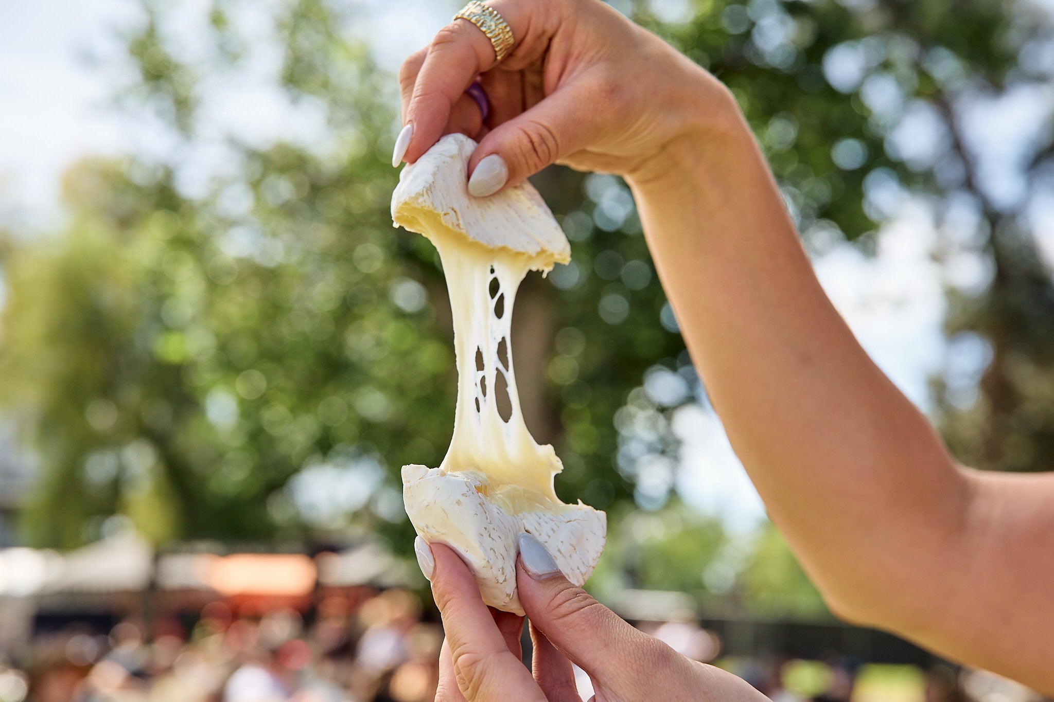 CheeseFest - Cheese, Food & Wine Festival – cheesefest