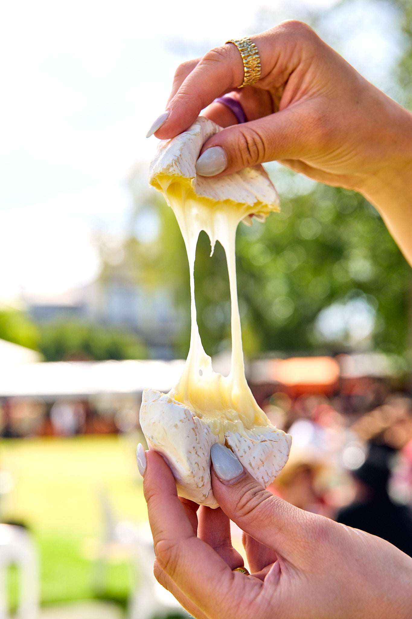 CheeseFest - Cheese, Food, Wine and Eats Festival! – cheesefest