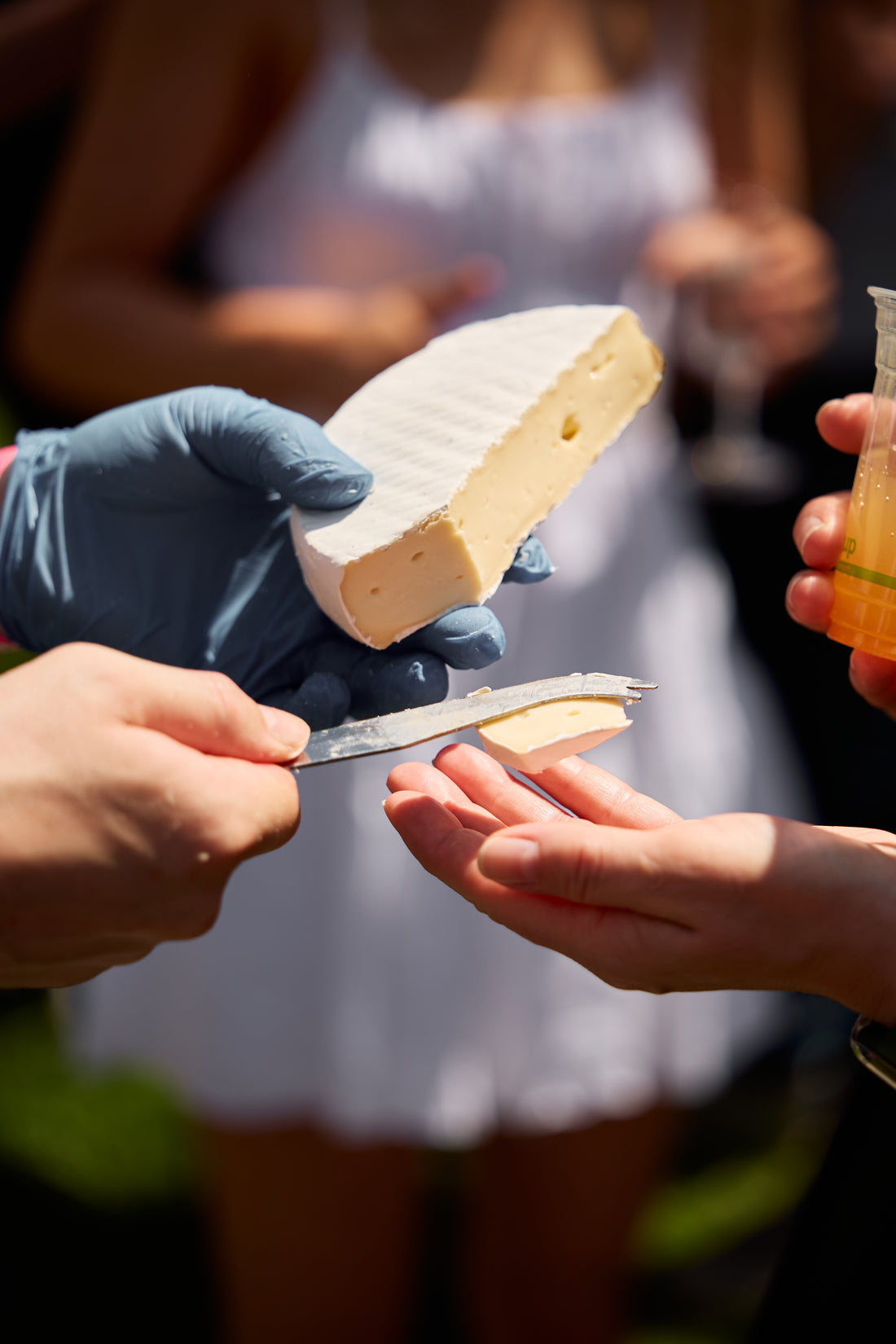 CheeseFest - Cheese, Food & Wine Festival – cheesefest